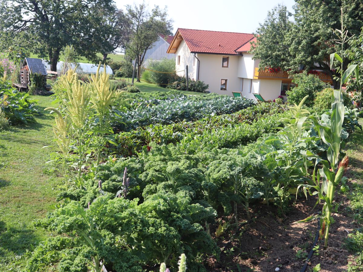 setveni koledar september